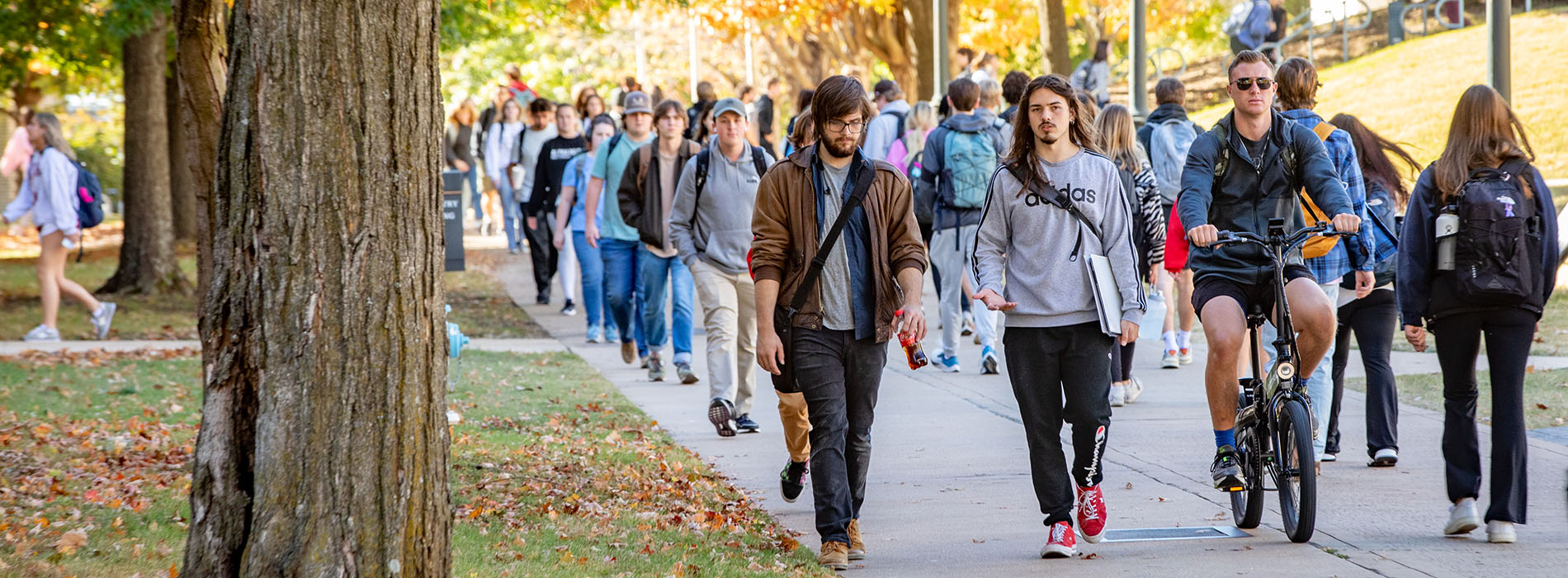 Welcome! | University of Arkansas